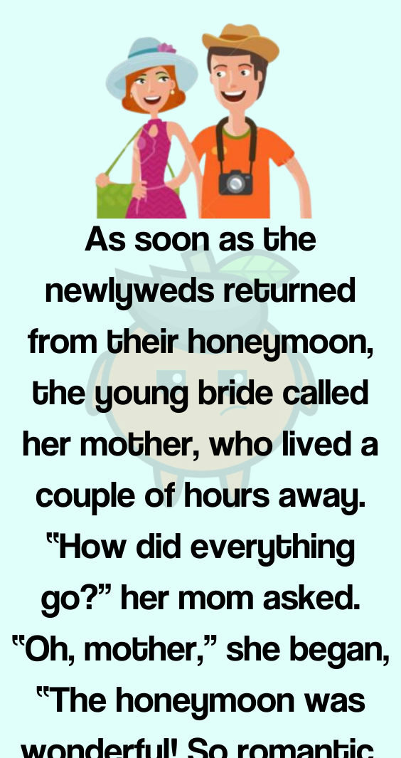 The Honeymoon Is Over - Bored Orange