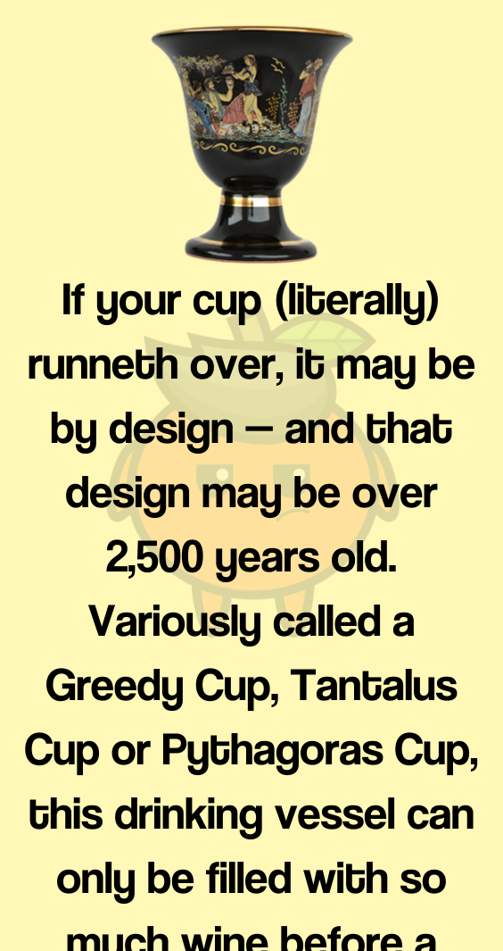 A Greedy Cup - Bored Orange