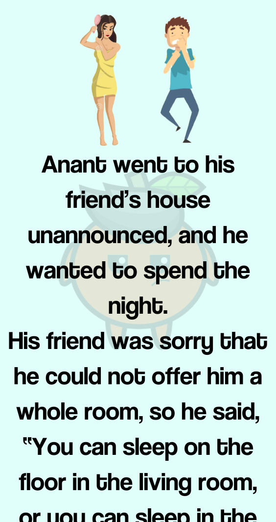 Anant Went To His Friend’s House - Bored Orange